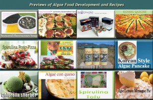 International Algae Competition